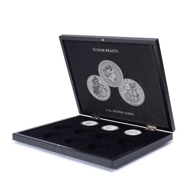 1 oz. Coin Display Cases: Silver Eagles, Morgan Dollars & More - JP's ...
